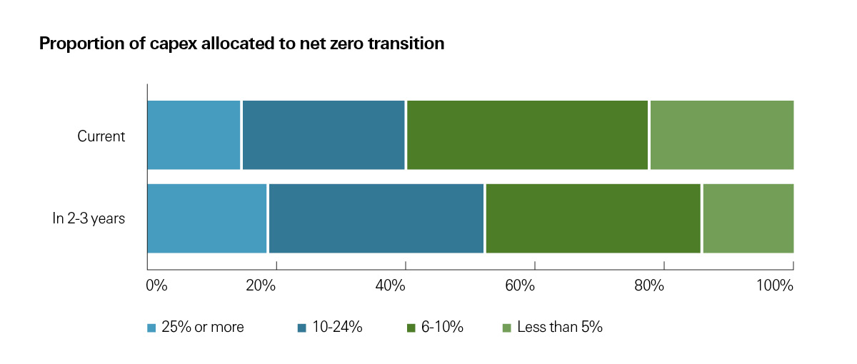 Building Towards Net Zero Insights Hsbc