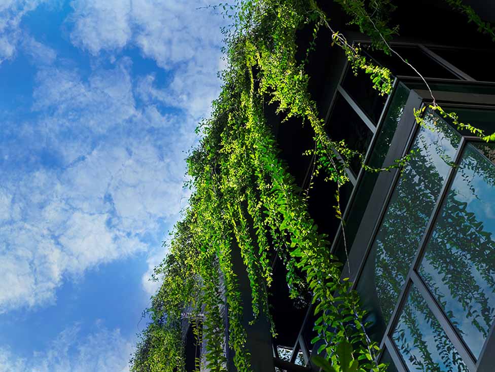 The importance of ESG for SMEs | Insights | HSBC