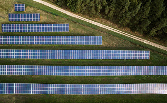 Sustainability for businesses | Global Commercial Banking | HSBC